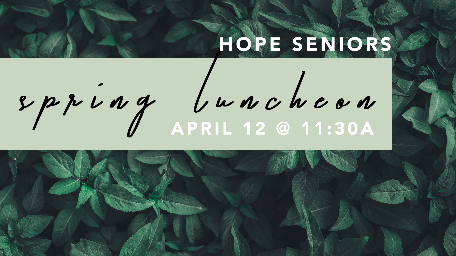 Welcome Home! | Hope Church in Springfield, Missouri